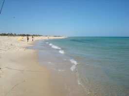 A découvrir, une sélection de plages tunisiennes